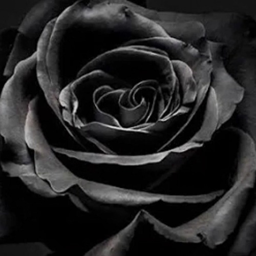 Stream That's The Way It Goes by The Nick Clemons Band | Listen online ...