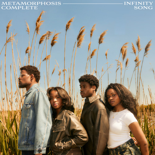 Stream Infinity Song | Listen to Metamorphosis Complete playlist online ...