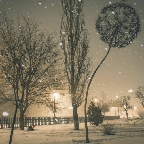 Stream Evening Snowfall by Sven Noon | Listen online for free on SoundCloud