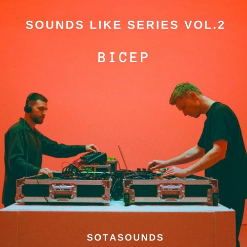 Stream SS - Sounds Like Bicep - Full Demo by SOTA Sounds | Listen online for free on SoundCloud