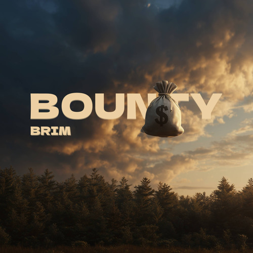 Stream bounty by BRIM | Listen online for free on SoundCloud