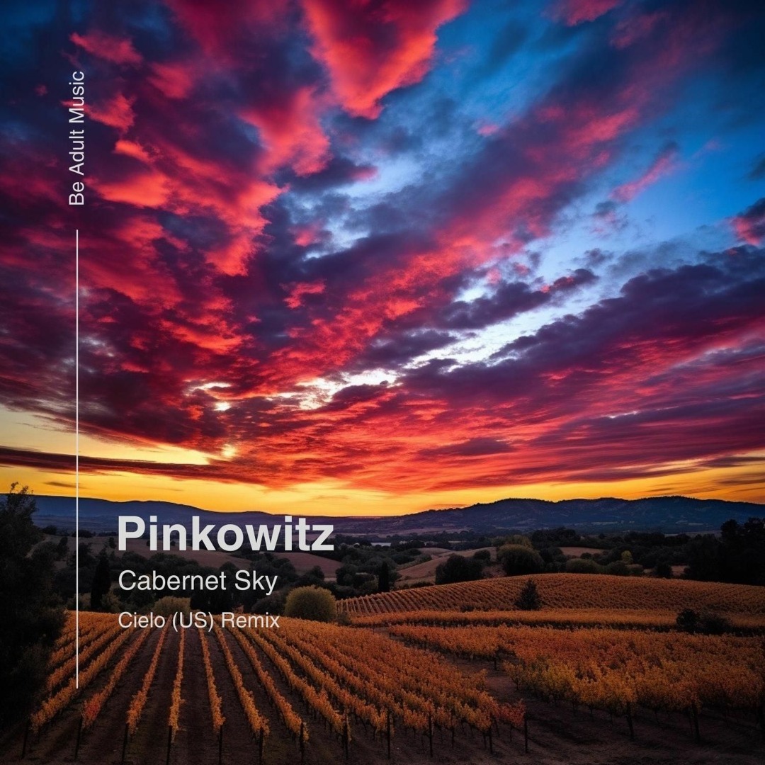 Stream Pinkowitz - Cabernet Sky (Cielo Remix) by Be Adult Music ...