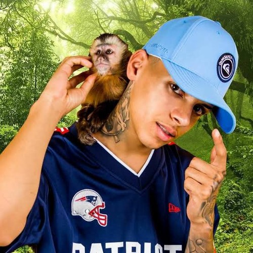 Stream Sigilo Mc Rick Dj Gordão Do Pc E Dj Wesley Gonzaga By Dg O