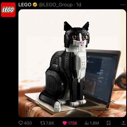 Stream イカク Igaku - Sasuke Haraguchi [CAT MEME MAD] by gleebus | Listen ...