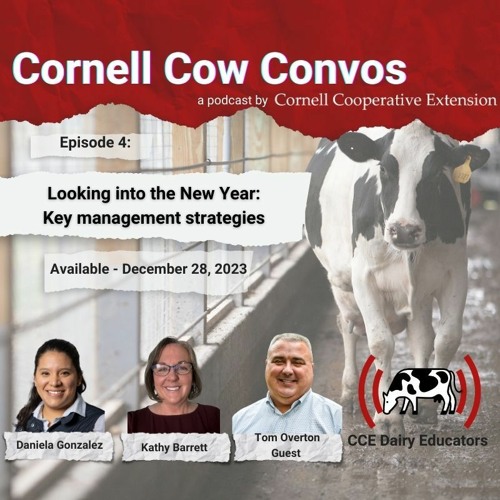 Stream episode Cornell Cow Convos E4 Looking Ahead to the New Year by ...
