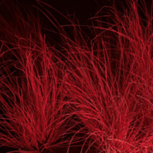 Stream Devils Decree by Sol Logos | Listen online for free on SoundCloud