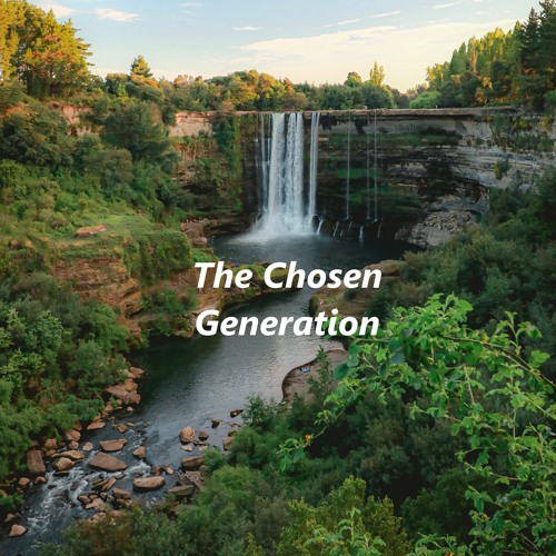 Stream The Chosen Generation by His Image - Andre du Preez | Listen ...