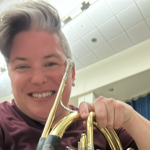 Stream Brahms Horn Trio 1st Mvmnt by Julie Riser | Listen online for ...