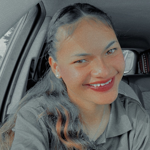 Stream Fiesta x Karl Wine x NP Heaven x Dj Fah Remix 2021 by shaaarty ...