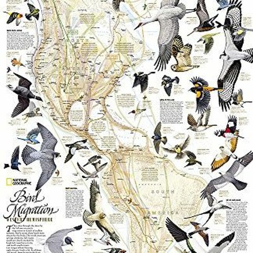 Stream ( yCoYQ ) National Geographic Bird Migration, Western Hemisphere ...