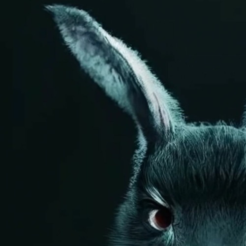 Stream Marko di Praga _-_ Go Chasing Rabbits 2024 by Marko di Praga | Listen online for free on ...