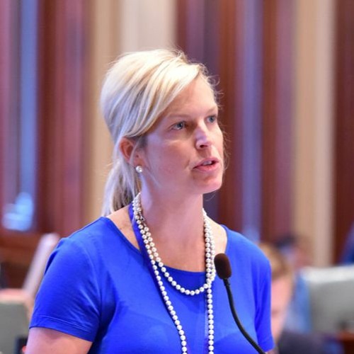 Stream Rep. Tony McCombie Interview 11 - 18 - 22 by Radio Will | Listen ...