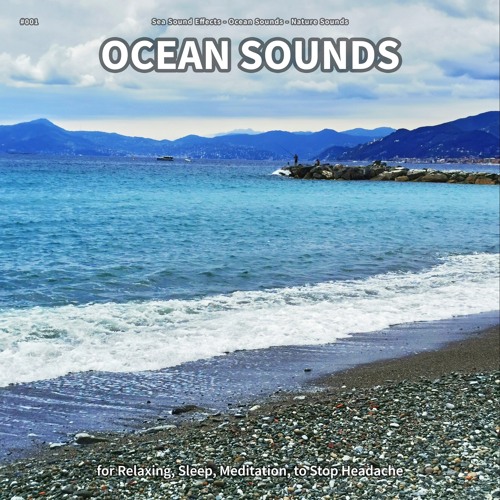 Stream Ocean Sounds, Pt. 1 by Sea Sound Effects | Listen online for ...