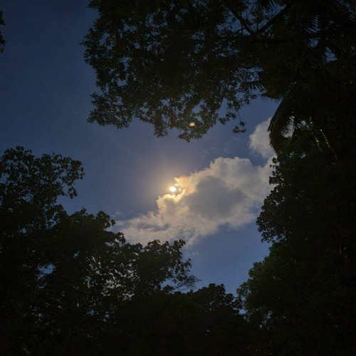 Stream sansaro_outlaw 323 | Listen to Untitled Playlist playlist online ...