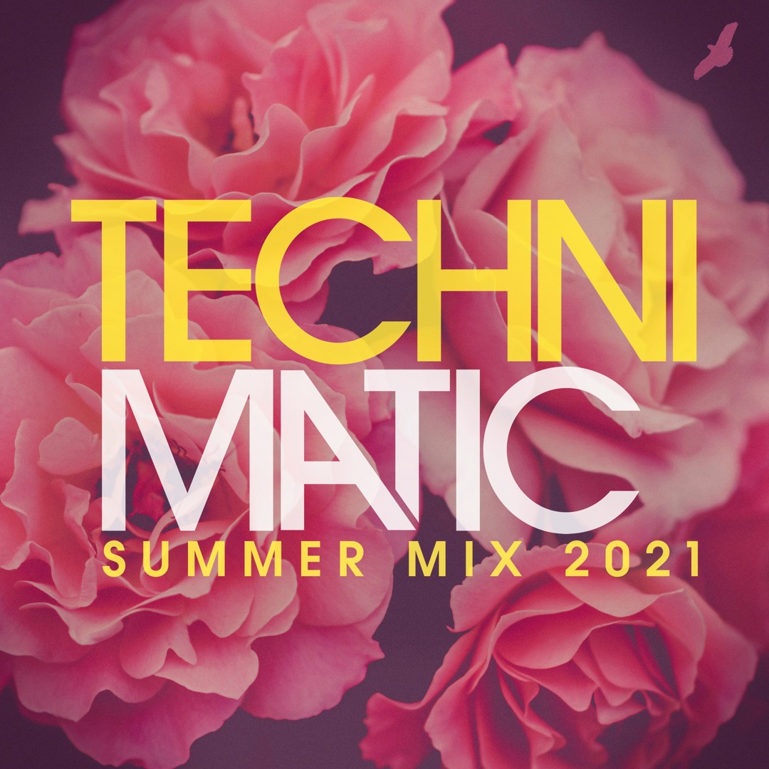 Stream Summer Mix 2021 by Technimatic | Listen online for free on ...