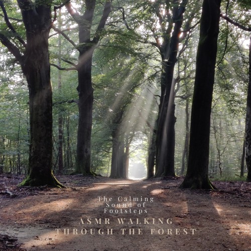 Stream The Calming Sound of Footsteps by ASMR Walking through the ...