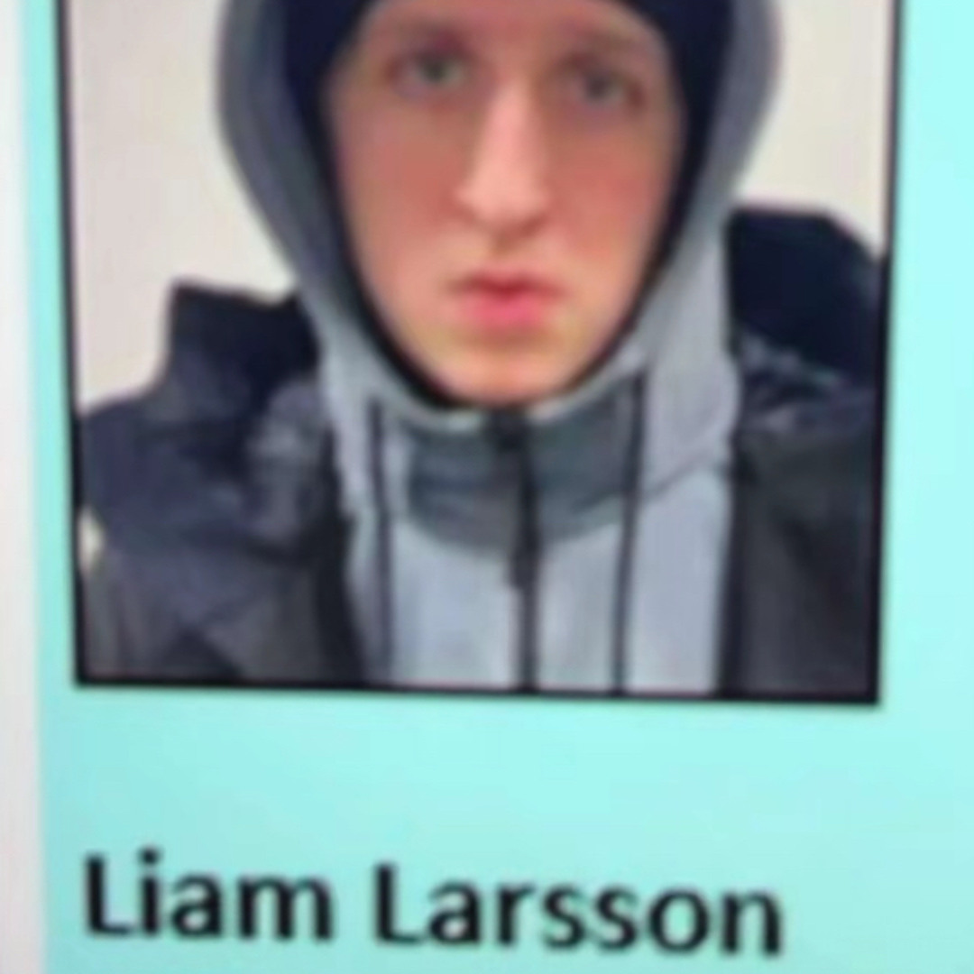 Stream BB29 - Serman Green by Osläppta | Listen online for free on ...