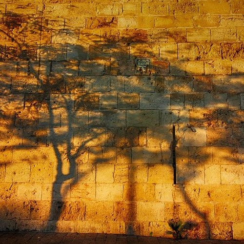 Stream The End Is Not In Sight - The Jay Shapiro Show by Israel News ...