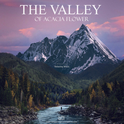 Stream 아카시아 향기가 나는 계곡 The valley of acacia flower by Healing Nature ...
