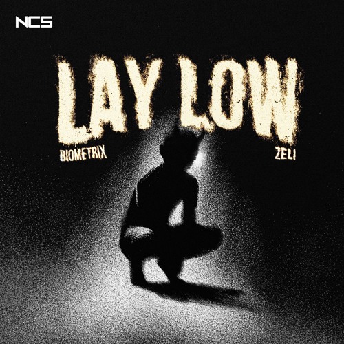 Stream Biometrix x Zeli - Lay Low [NCS Release] by NCS | Listen online for free on SoundCloud