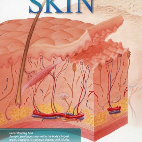 Stream download PDF Understanding Skin Flip Chart (Flip Charts) by ...