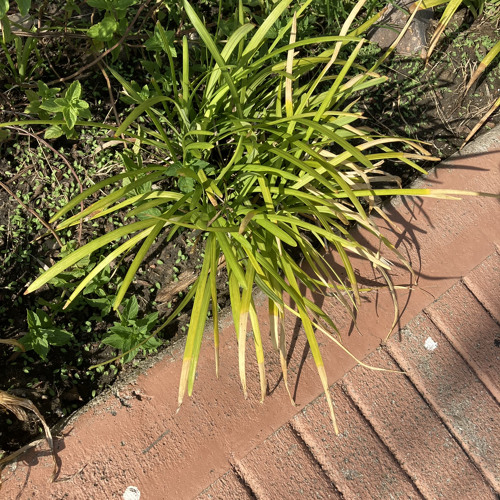 Stream That Mexican OT - Kick Doe Click Slowed by slowed | Listen ...