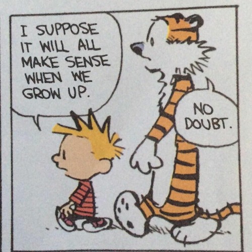 Calvin And Hobbes Grown Up Sad
