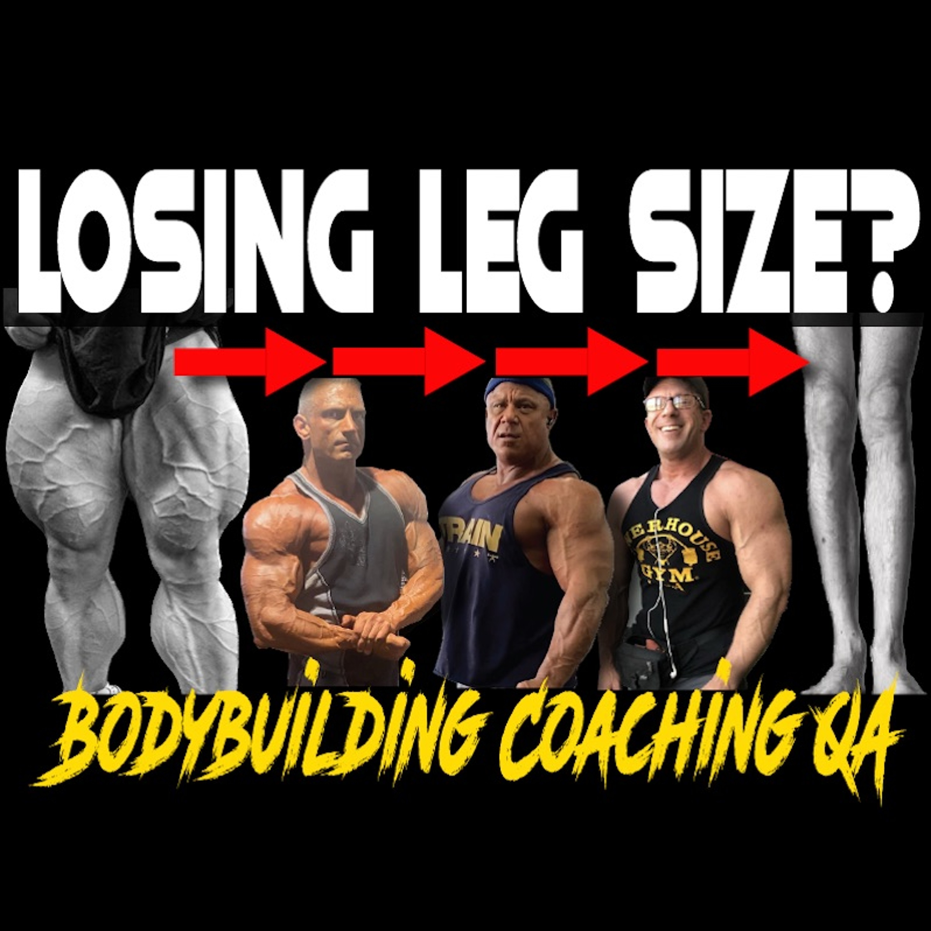 Blood Sweat & Gear 186 Losing Leg Size – Think BIG Bodybuilding ...