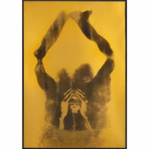 Stream Thirteen Ways of Looking by Ama Codjoe by Solomon R. Guggenheim ...