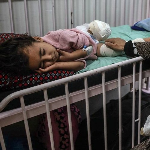 Stream News in Brief - 5 January 2024 - Gaza latest, IOM appeal, COVID ...