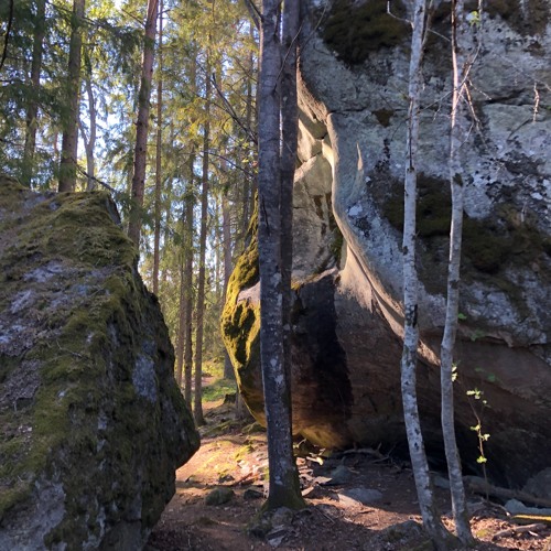 Stream Star by Anton Holmberg | Listen online for free on SoundCloud