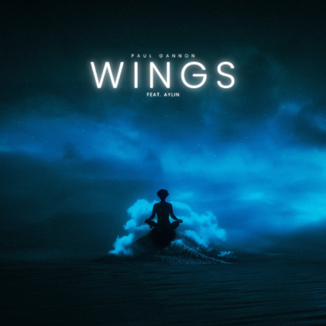 Stream Paul Gannon - Wings feat. Aylin by Paul Gannon | Listen online ...