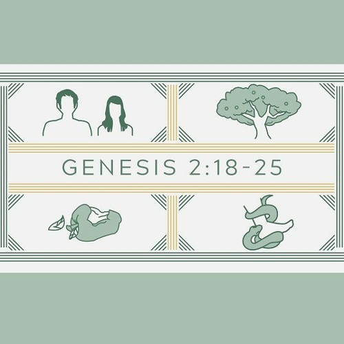 Stream North Aurora | 02/19/23 – The Gospel in Genesis – Genesis 2:18 ...