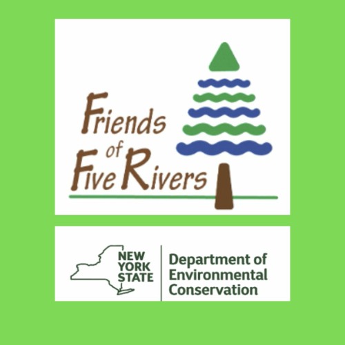 Stream Explore Nature at Five Rivers by Hudson Mohawk Magazine | Listen ...