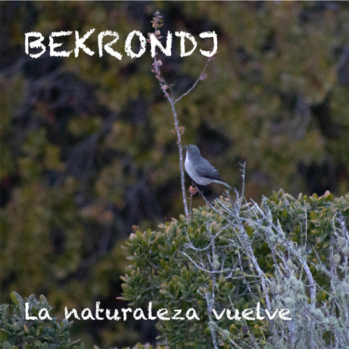 Stream Vector by Protocolo APH | Listen online for free on SoundCloud