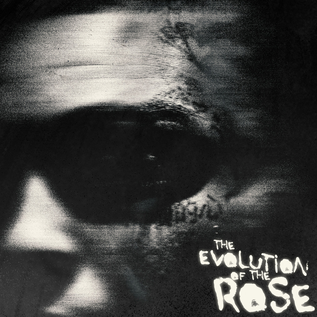 Stream lil skies | Listen to The Evolution of the Rose playlist online ...