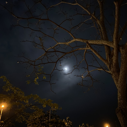 Stream youre losing me- taylor swift (bridge) by arnie | Listen online ...