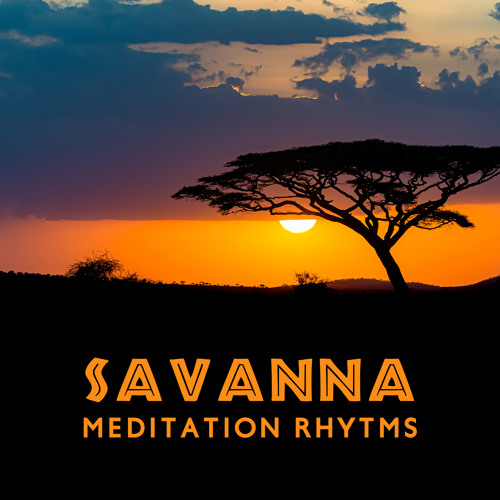 Stream African Music Drums Collection | Listen to Savanna Meditation ...