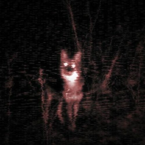 Stream Skinwalker by DeathByMachinery | Listen online for free on ...