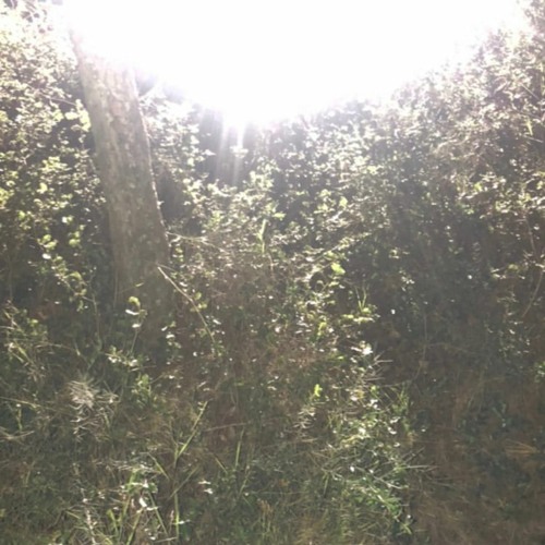 Stream get what you want by FERGO | Listen online for free on SoundCloud Stream get what you want by FERGO | Listen online for free on SoundCloud