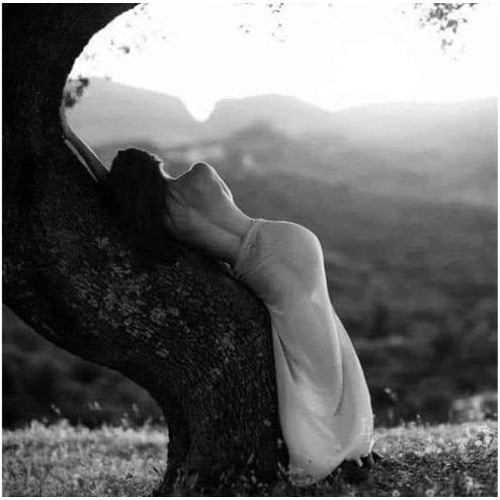 Stream ♪♮ark 𝄡radley ♩ensen 🎼 | Listen to Barry De Vorzon & Perry ...