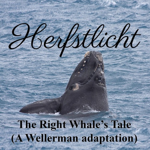 Stream Herfstlicht - V0 - 01 - The Right Whale's Tale (A Wellerman ...