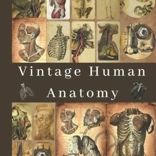Stream PDF Vintage Human Anatomy: (124 images) Medical Book Drawings of ...