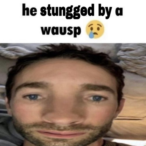 Stream maxine’s alt | Listen to absolutely SCRUMPTIOUS edit audio comps ...