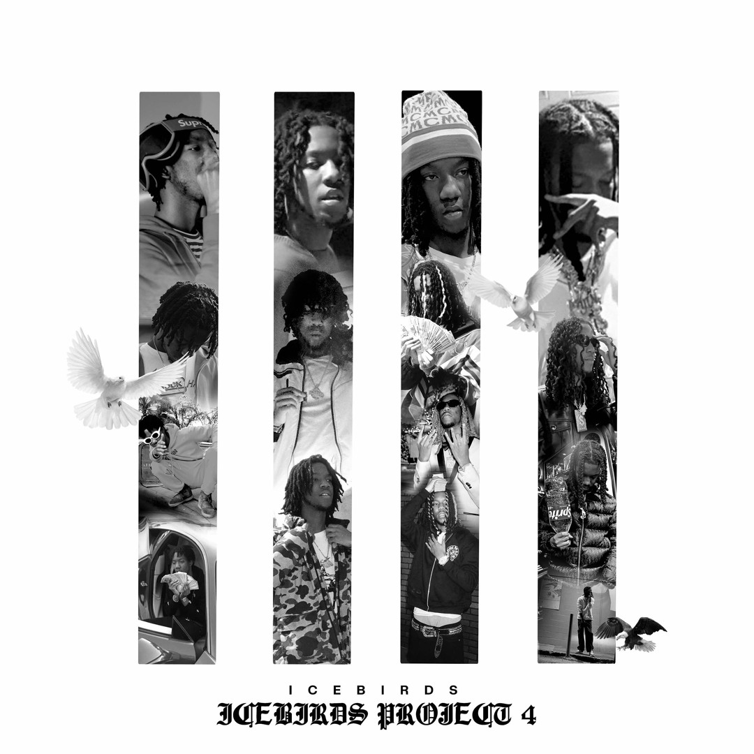 Stream Mission/99 Problems by IceBirds (@icebirdss) | Listen online for ...