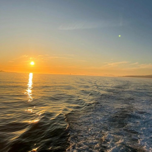 Stream RATE THIS SET... #REALDJING - psychedelic , House, afro-House by ...