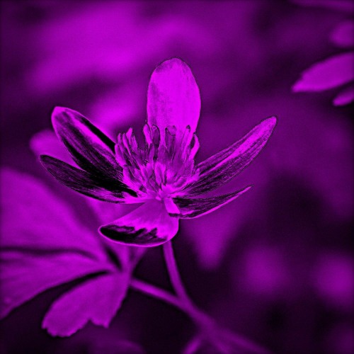 Stream DALUCT - Away (EXALT REMIX) by EXALT | Listen online for free on ...