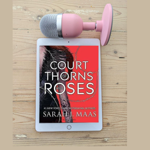 Stream episode ACOTAR Quiz with Special Guest by Letterbox Book Club ...