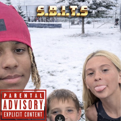 Stream Snow Bunnies In The South by Lil Snapzz | Listen online for free ...