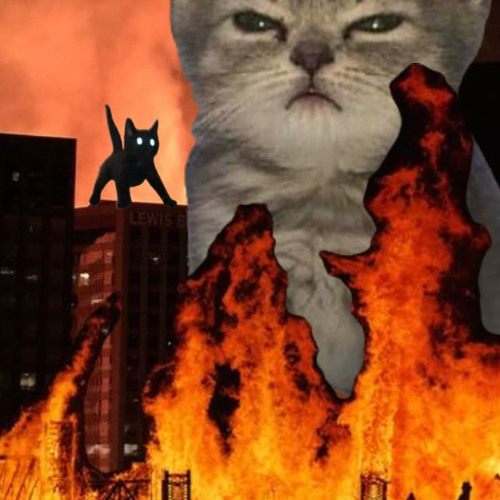 Stream cancelled by icemop | Listen online for free on SoundCloud